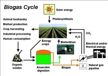 Benefits of Biogas Gas Plant for Homes - Home-Tech Grow Biomass Energy ...