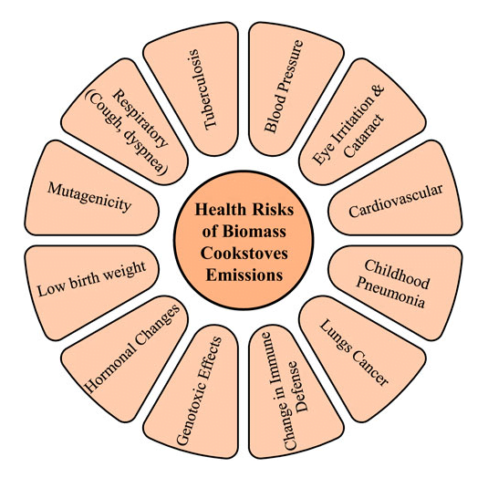 Scope of Biomass Stoves for Cooking its Advantage and Disadvantage ...