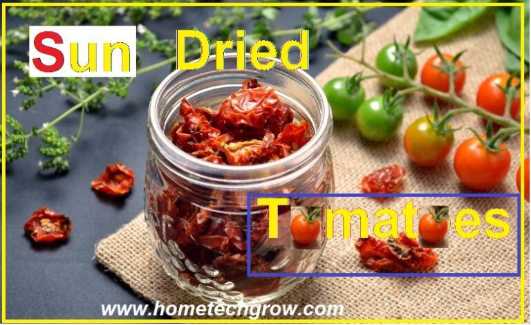 Sun Drying of Tomatoes for Food Preservation: Methods and applications ...