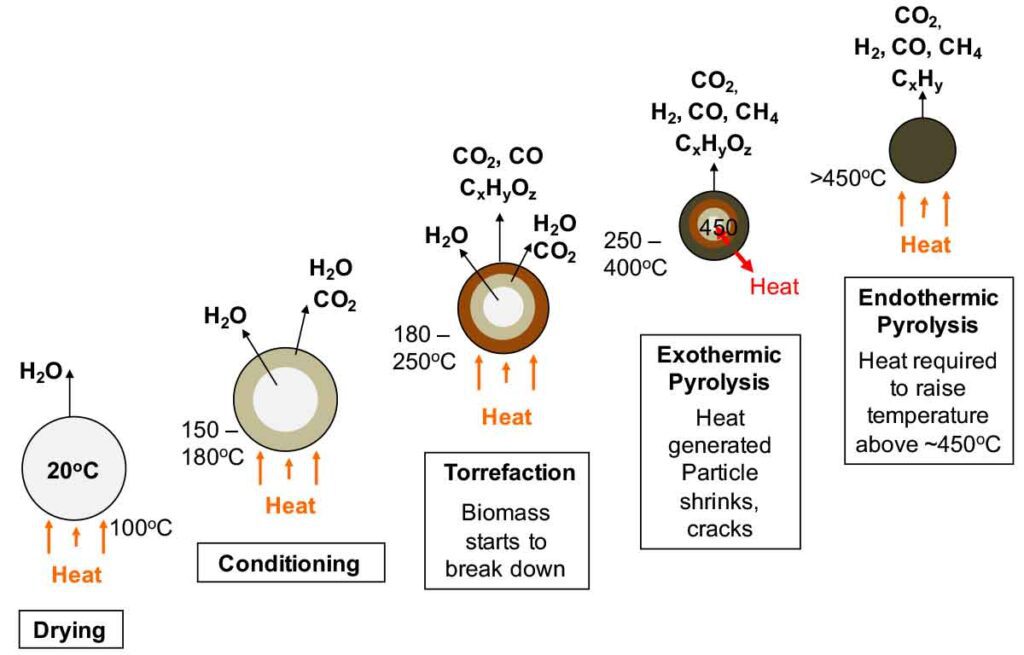 Scope of Carbonization Process for Biomass in Rural Areas - Home-Tech ...